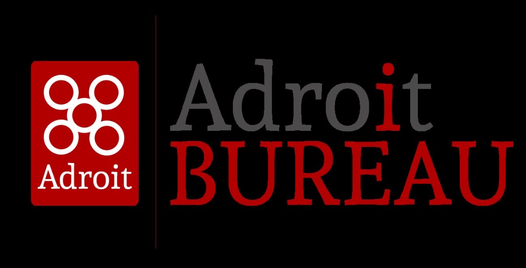Industry-Specific ERP Solutions & AI Automation| Adroit Bureau